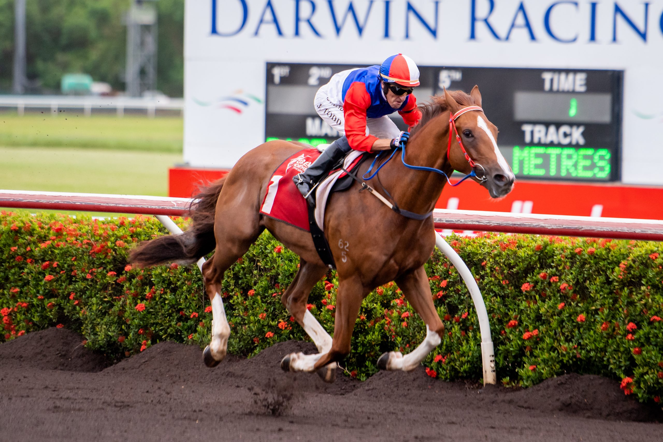 Gallery - Clarke Racing