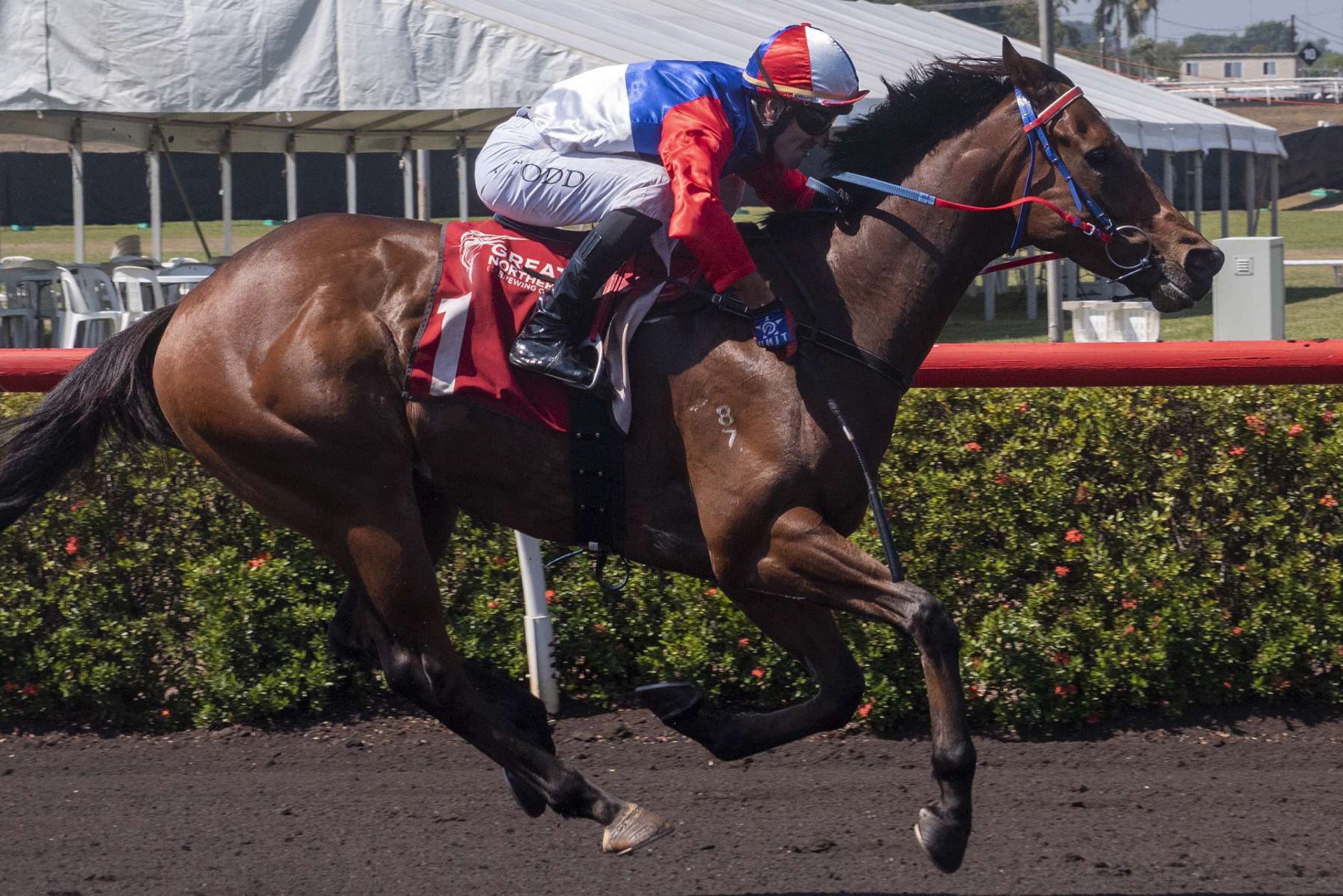 Gallery - Clarke Racing