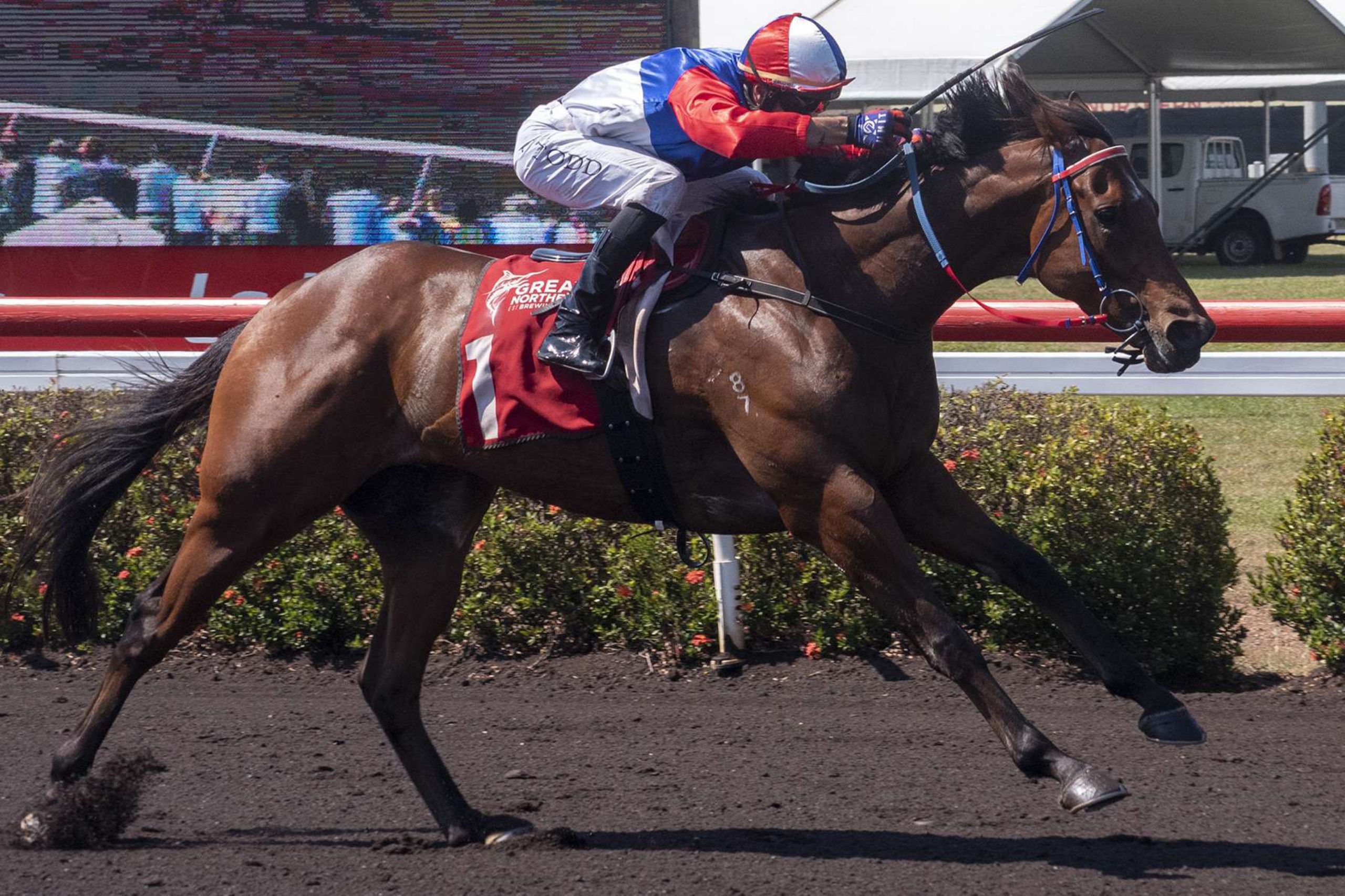 Gallery - Clarke Racing