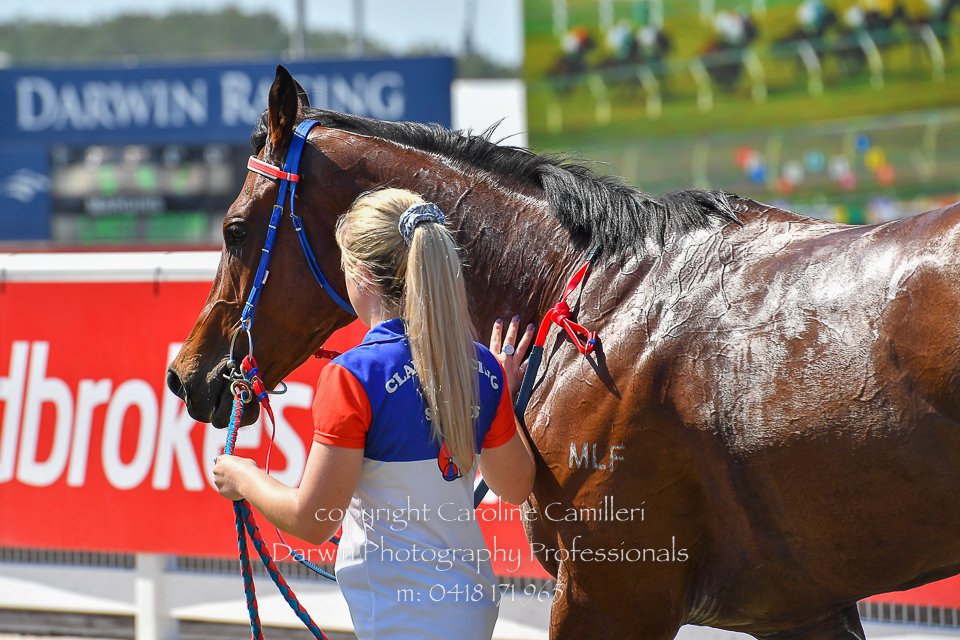 Gallery - Clarke Racing